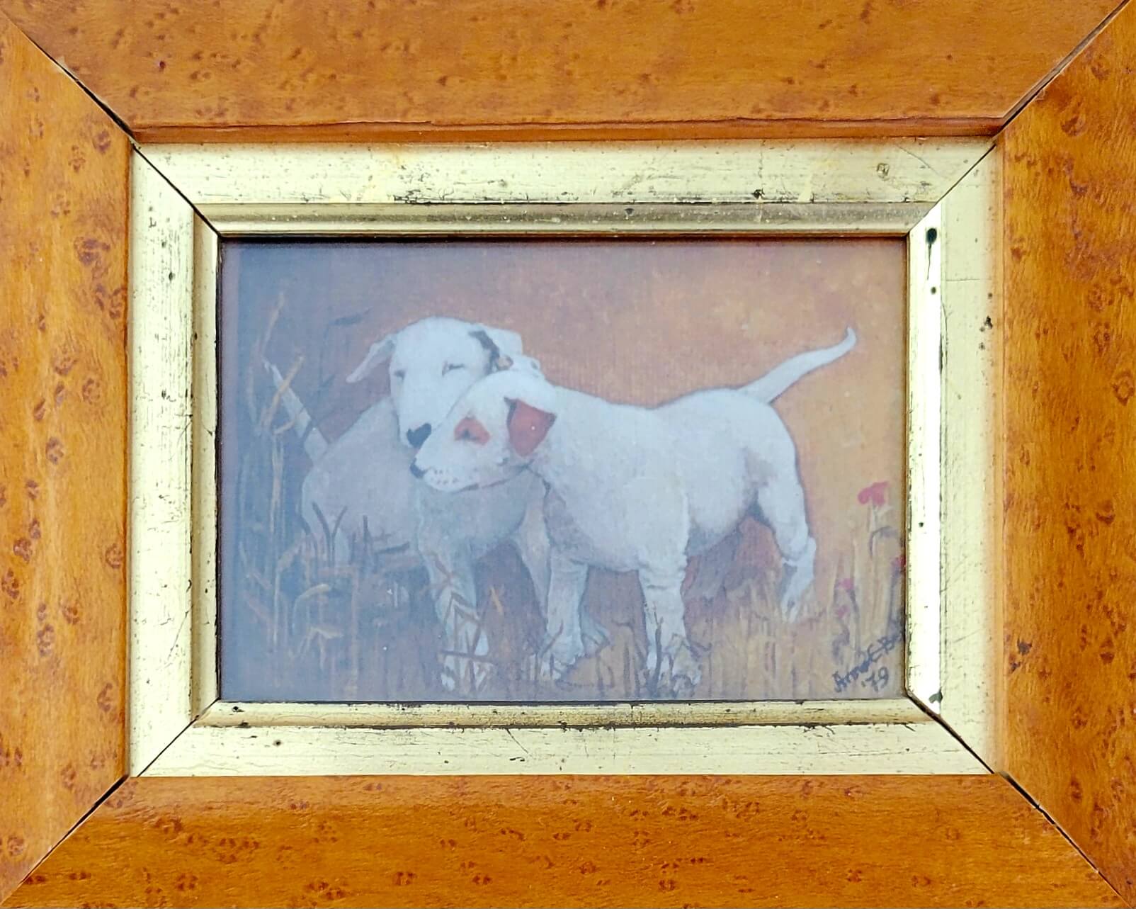 Finding a Bull Terrier Breeder - Tips and Advice for Choosing a ...